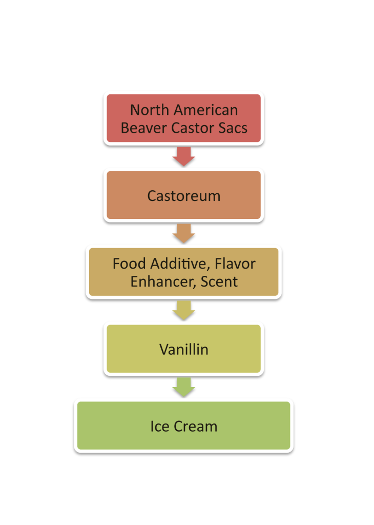 CASTOREUM : A Natural Flavoring to Die For